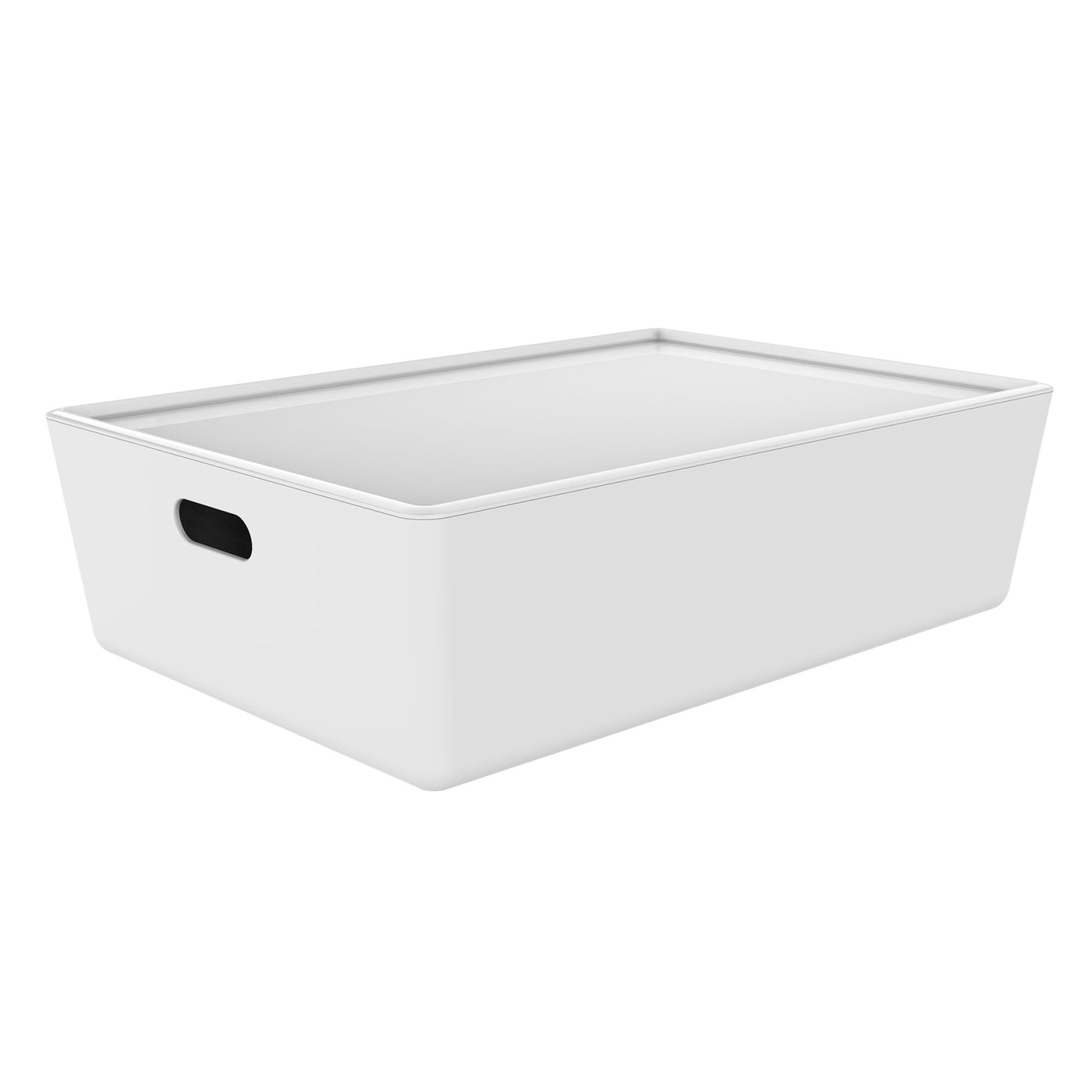 Home 26L Lisse Lidded Organiser