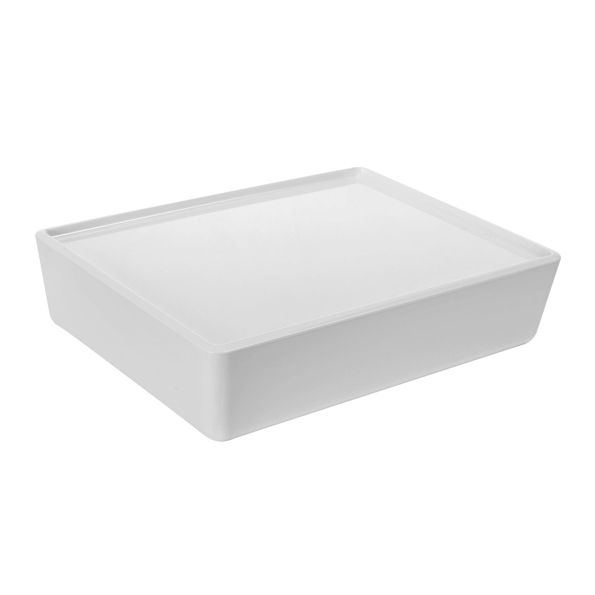 Home 6L Lisse Shallow Lidded Organiser